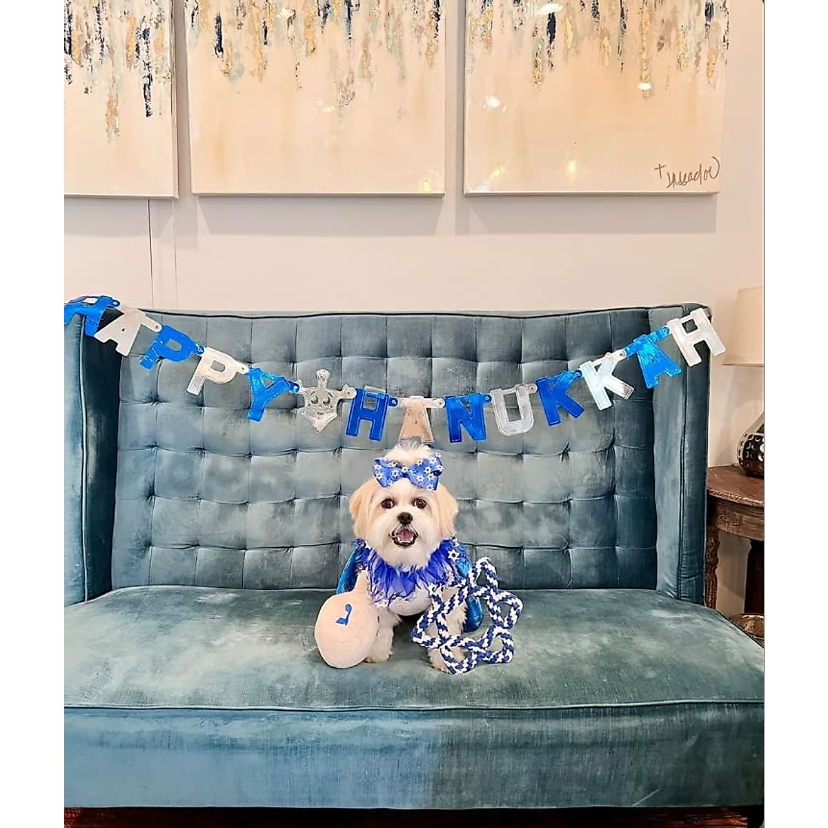 Midlee Star of David 6.5" Rope Dog Toy