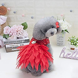 Tangpan Beam Waist Christmas Pet Costume Dog Dance Skirt Satin Camp Party Dress (XX-Large, Red)