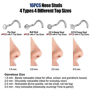 Piercingpops 24Pcs Surgical Stainless Steel Mixed Nose Stud Nose Ring Hoop Cartilage Earrings Nose Piercing Body Jewelry for Women Men Set (A:24PCS - Silver（Nose Screws Style）)