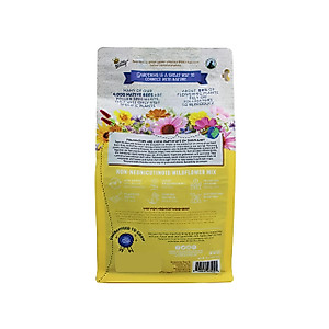 BUZZY Wildflower Pollinator Seed Mix (1lb Bag), 18 Pollinator-Friendly Varieties, Protect The Pollinators & Save The Planet, Coneflower, Sunflower, Calendula, Cosmos, & More, Growth Guaranteed