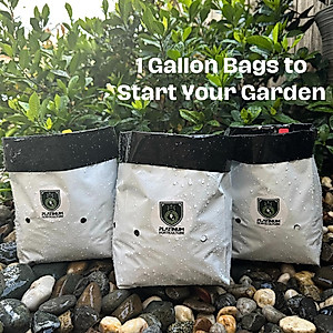 FoxFarm FX14053 Ocean Forest Potting Soil Mix for Indoor and Outdoor Plants 12 qt (1ct), Platinum Horticulture Plastic Grow Bags 1 Gal (8ct), Garden Stake (8ct), Potting Soil Starter kit