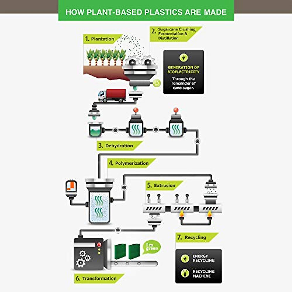 Samsill Plant Based Durable 2 Inch 3 Ring Binders, Made in The USA, Fashion Clear View Binders, Up to 25% Plant Based Plastic, Assorted 4 Pack (MP48669)