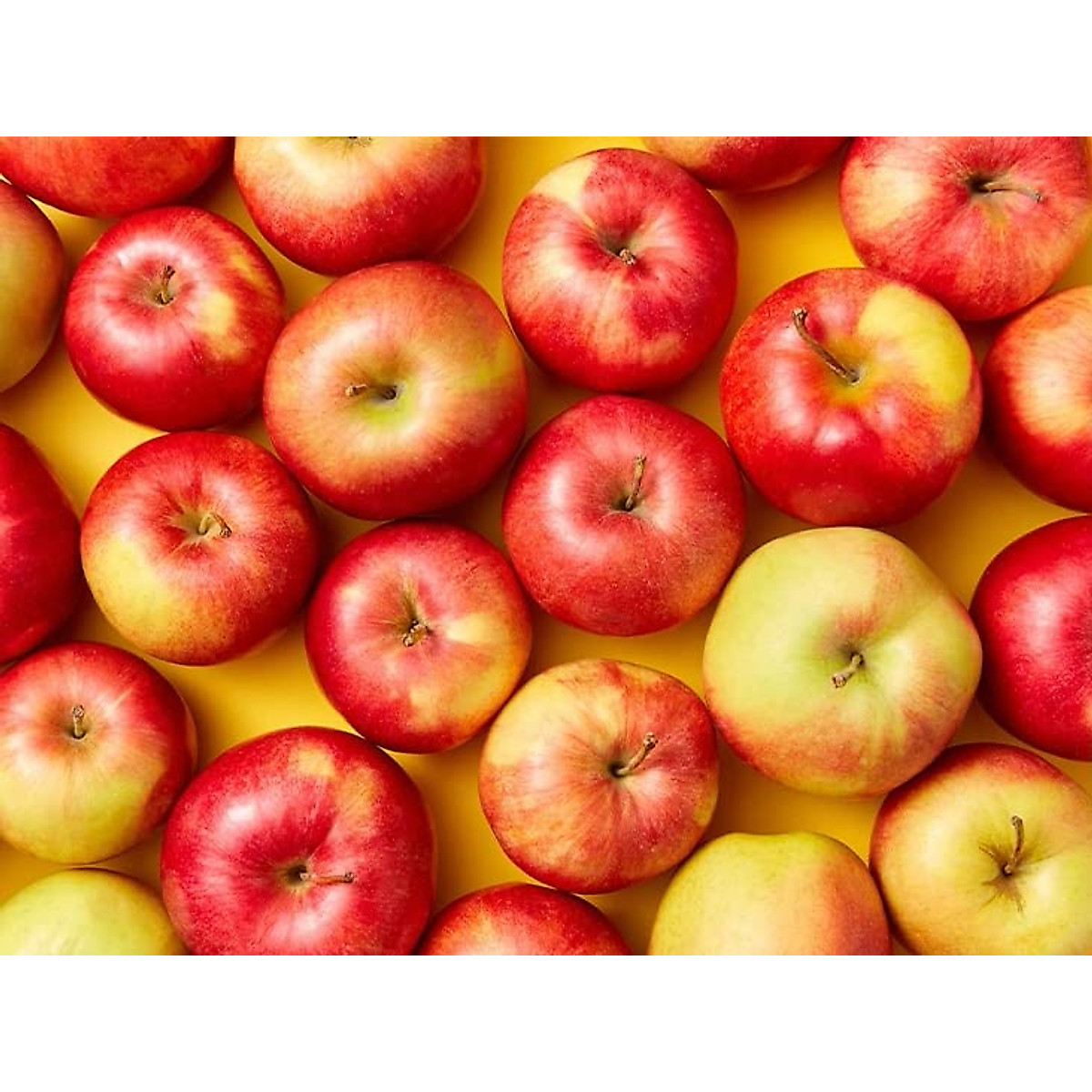 seedcaps Dwarf Apple Seeds for Planting - (Honey Crisp, Gala,Green,Golden) Apple Mixed 100 Seeds - Non-GMO Organic Apple Tree Seeds to Plant Home Friuts Garden Bonsai