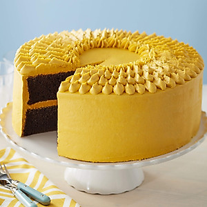 Wilton Cake Icing Smoother