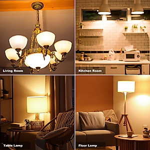 Vgogfly 3W LED Bulb Equivalent 25 Watt Light Bulbs, A15 Daylight 5000K Energy Saving Low Watt E26 Base Bulb for Home Bedroom(4-Pack)