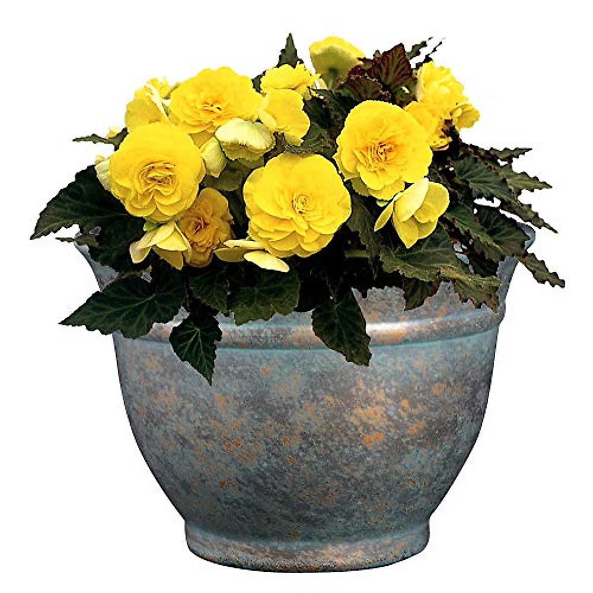 Classic Home & Garden 10509D 377R 9" Alena Planter, Weathered Copper