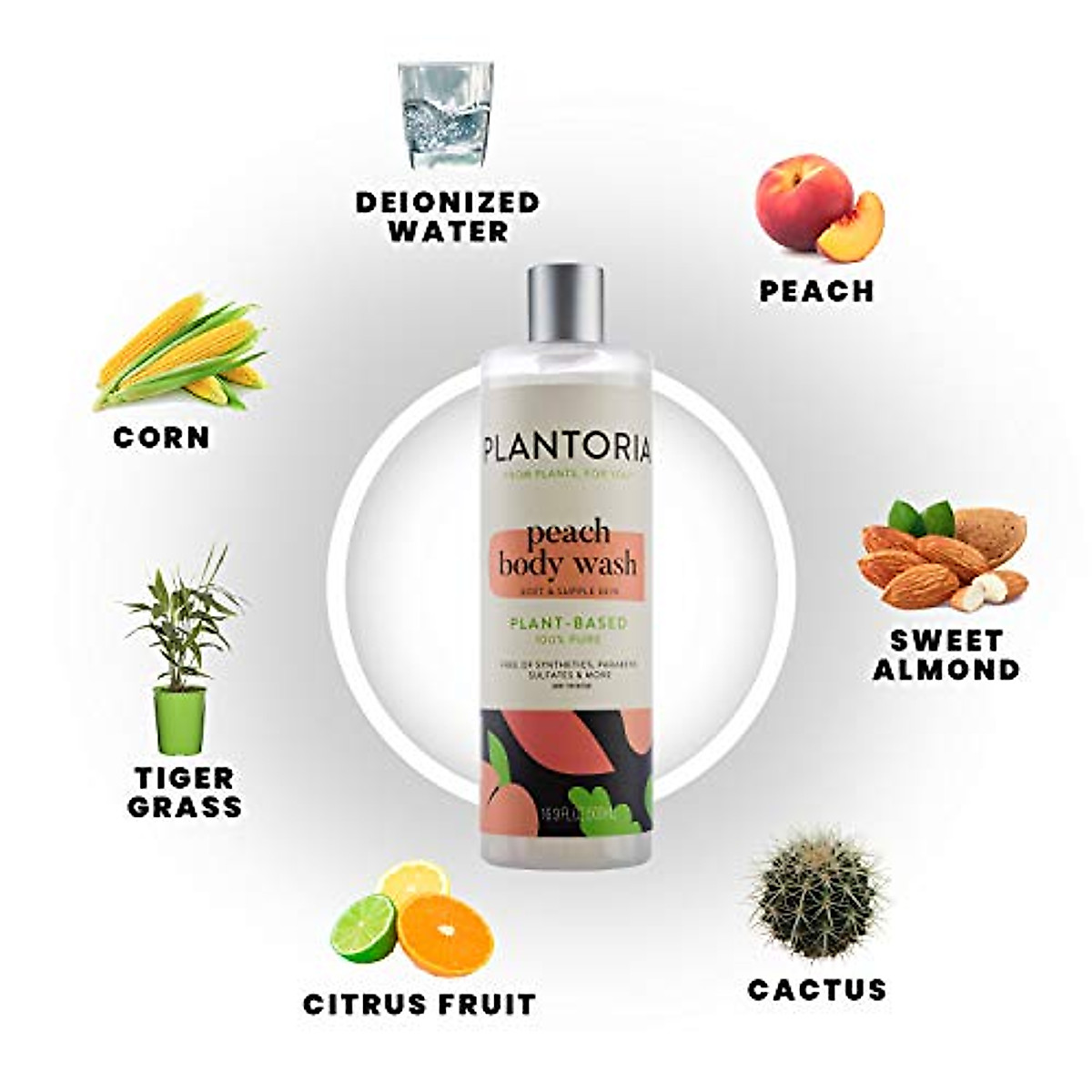 Plantoria Peach Body Wash | Plant Based Pure Natural Bodywash for Women & Men | Antioxidant Rich Body Skin Care Products With Deionized Water, Peach, Sweet Almond & Cactus | High in Vitamin A & C