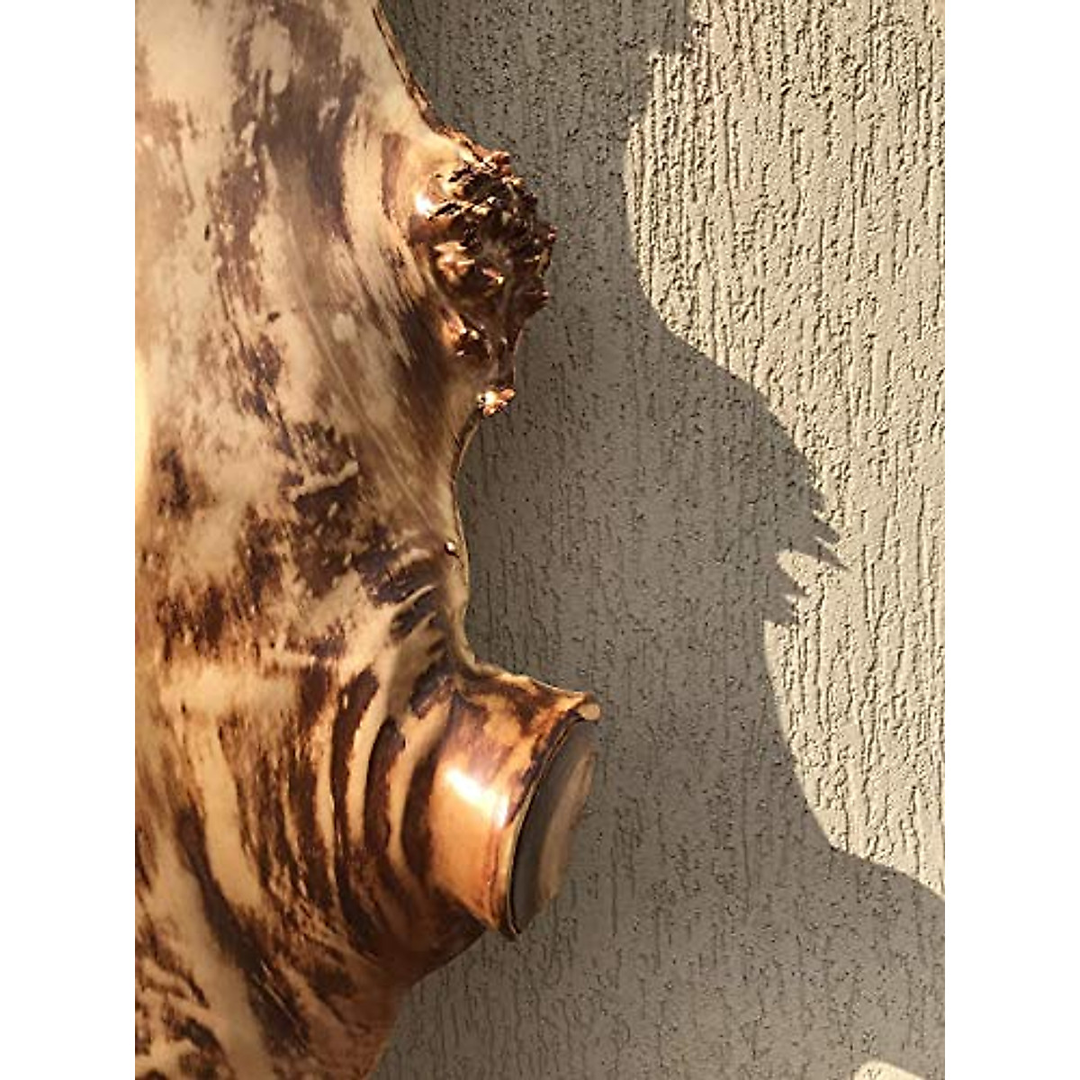 Table top from poplar burl slab, live edge table top, poplar burl, slab burl