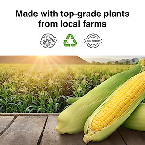 16 QUARTS Odorless, Smoke-Free Ethanol Fireplace Fuel | Best Flame, Fast Pour, Long Burn, Safety-Tested, Made in USA | Bio Ethanol Fuel For Fire Table Top Fire Pit Ethanol Fireplace | e-NRG Bioethanol