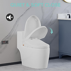 DELUXE LIVING Smart Bidet Toilet Seat with Wireless Remote and Side Panel, Multiple Cleaning Modes, Adjustable Heated Seat, Warm Water and Air Dryer, LED Night light, Fits Elongated Toilets