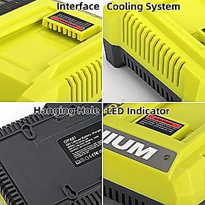 Hipoke OP401 40V Dual Battery Charger for Ryobi 40V Lithium-ion Battery OP4040 OP4026 OP4026A OP4050A OP40601 OP40602 OP4030 OP4015 OP40201, 40V Ryobi Charger Tool