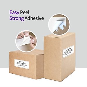 AveneMark 12 Rolls 4" x 2" Direct Thermal Labels for Barcodes Postage Address Shipping Labels Compatible with Rollo & Zebra Desktop Printers Adhesive - 750 Labels/Roll