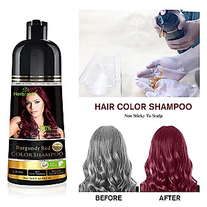 Combo Pack - Herbishh Color Shampoo for Gray Hair + Argan Intense Hair Mask - Long-lasting Dye, Colors in Minutes - Stimulates Dry, Frizzy Hair - 500 ml (Burgundy)