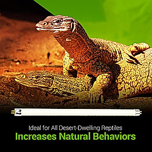 2 Pack 24W-Watt T5 HO Reptile Light Desert UVA UVB 10.0 Fluorescent Tube - 22" Terrarium Hood Light Suitable for Desert Reptile Lizards Bearded Dragons & Promotes Natural Behavior UVB Bulb (22Inch)