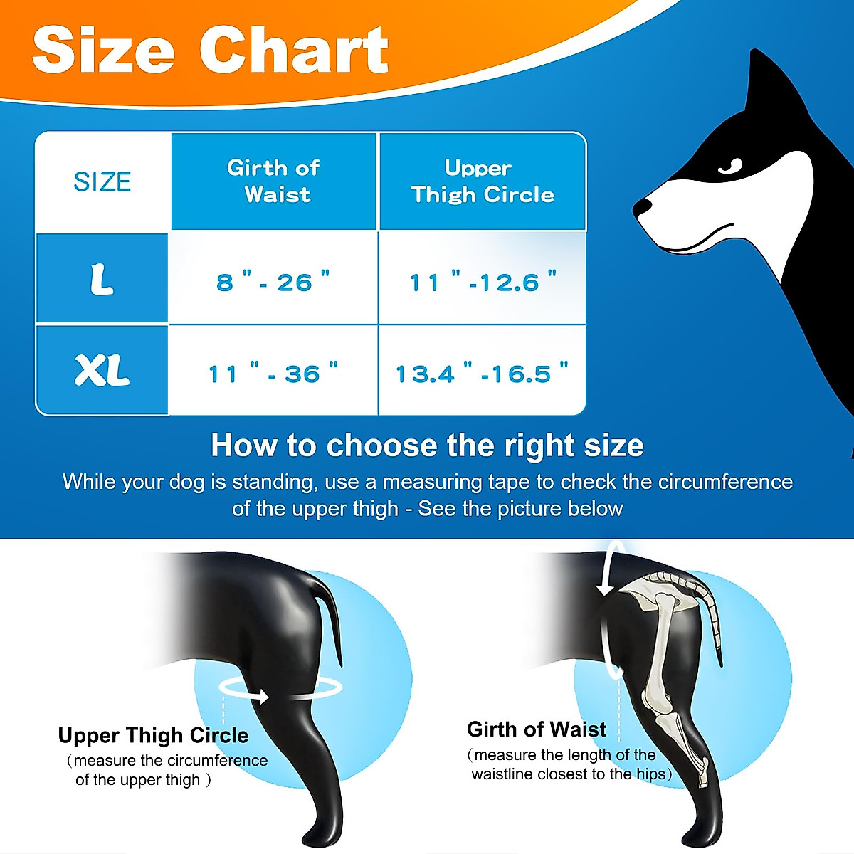 CHAMIN/RISURRY Adjustable Dog Knee Brace with Extra Collar, Support for Torn Acl Hind Leg, Tear Ligament, Osteoarthritis,Rear Leg Limp, Recovery After Surgery,et（Left Leg,L）