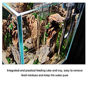 Shrimp Feeder Tube and Plate, Clear Acrylic Shrimp Feeding Dish with Long Tube Acrylic Fish Feeder Tray Container Bowl