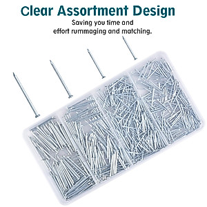 Nail for Hanging Pictures Assortment Kit - 650Pcs Small Nails, Finishing Nails, Hanging Nails, Picture Nails, Wall Nails for Hanging, Pin Nails