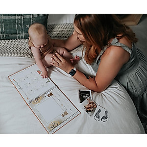 Lucy Darling Baby Memory Book, Luxury Baby First Year Book & Photo Album for Baby Boy/Girl, Keepsake Baby Books & Journals, Gender Neutral Memories & Milestone Book, Pregnancy Gift - Teddy Bears