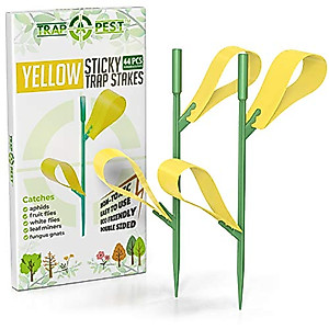 Houseplant Sticky Stakes - Yellow Sticky Traps for Gnats Indoor and Outdoor - Gnat Traps for House Plants (44 Traps)