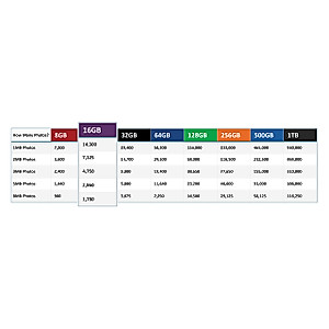 Photo Backup Stick for Computers, Phones, and Tablets (16 GB)