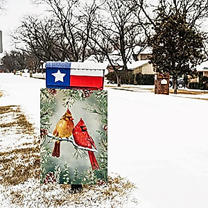 Heyfibro Welcome Winter Garden Flag Cardinal Red Bird Holly Berry Branches Snow Welcome Winter Flags 12x18 Inch Double Sided Burlap Banner for Winter Holiday Christmas Yard Outdoor Decoration(ONLY FLAG)