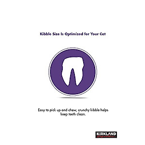 Kirkland Signature Super Premium Maintenance Cat Food