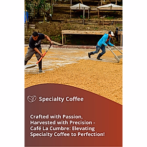 La Cumbre Specialty Coffee Whole Bean Medium Roast, Arabica Beans, Low Acid, Gourmet Whole Bean, Vegan, Kosher & Keto Friendly, Red Honey Process 12 oz, 2 Pack
