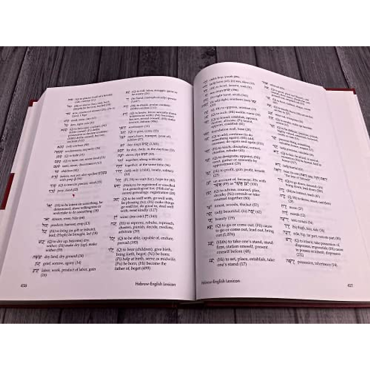 Basics of Biblical Hebrew Grammar: Third Edition (Zondervan Language Basics Series)