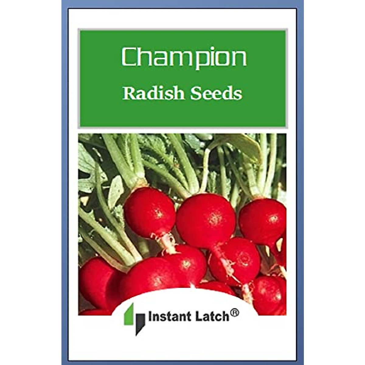 100 Champion Radish Seeds | Non-GMO | Fresh Garden Seeds