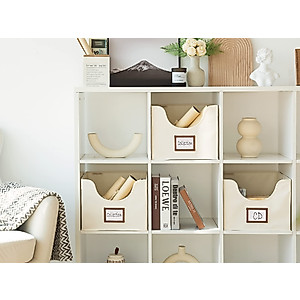 StorageWorks Closet Storage Bins and