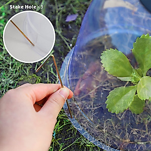 MorTime 6 Pack Garden Cloche Plant Dome, 7.3" D x 6.9" H Plastic Plant Bell Cover Reusable Mini Greenhouse with 18 Ground Securing Pegs & 10 Plant Labels for Outdoors Frost Freeze Protection