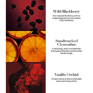 Victoria's Secret Very Sexy Fragrance Lotion, Notes of Vanilla Orchid, Sun-Drenched Clementine & Wild Blackberry, (8.4 oz)