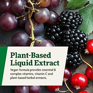 Floradix Floravital Liquid Iron & Vitamins Formula - Liquid Iron Supplement with B Complex Vitamins & Herbs for Energy Support - Vegan, Gluten-Free, Yeast- Free, Non-GMO - 17 oz