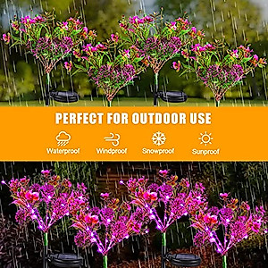 Neporal Solar Lights Outdoor Garden Decorative, 4 Pack Solar Powered Phalaenopsis Flower Lights Design, Solar Light Outdoor Waterproof IP65, Solar Garden Decorations - Gardening Gifts for Women