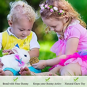 SunGrow Seagrass Balls for Rabbit, for Pet’s Gums & Teeth, Chewable Teething Activity Toy for Gerbils, Guinea Pig, Dwarf Bunny, 1 Pc