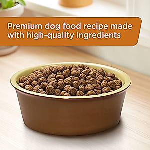 Rachael Ray Nutrish Dry Dog Food, Turkey, Brown Rice & Venison Recipe for Weight Management, 26 Pounds