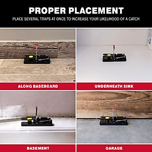 Catchmaster Predator Snap Mouse Trap 6Pk, Humane Mouse Traps Indoor for Home, Reusable Rodent Killer with Attractant, House Critter Catcher with Mouse Bait, Pet Safe Pest Control for Garage & Basement