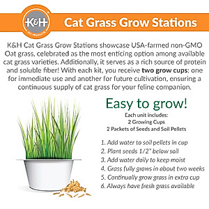 K&H Pet Products EZ Mount Cat Grass Grow Station for Window - Healthy Home Grown Grass Cat Kit for Bored Indoor Adult Cats, Pairs Purr-fectly with Cat Window Perches, Farmed in USA Non-GMO Grass