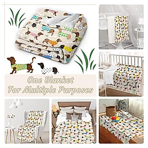 BUYYET Cute Dachshund Decor Fleece Flannel Animals Blanket Wiener Dog Dachshund Gifts Blanket for Women Lightweight Soft Cozy Throw Blanket for Bed Couch Travel Outdoor 40''x 50'' for Kids/Child
