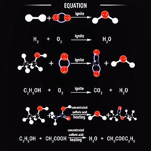 EXBEPE Organic Chemistry Molecular Model Kit 206pc Middle,High school Supplies, Educational Science Set Gift for Student to Learn Structure and Reactions