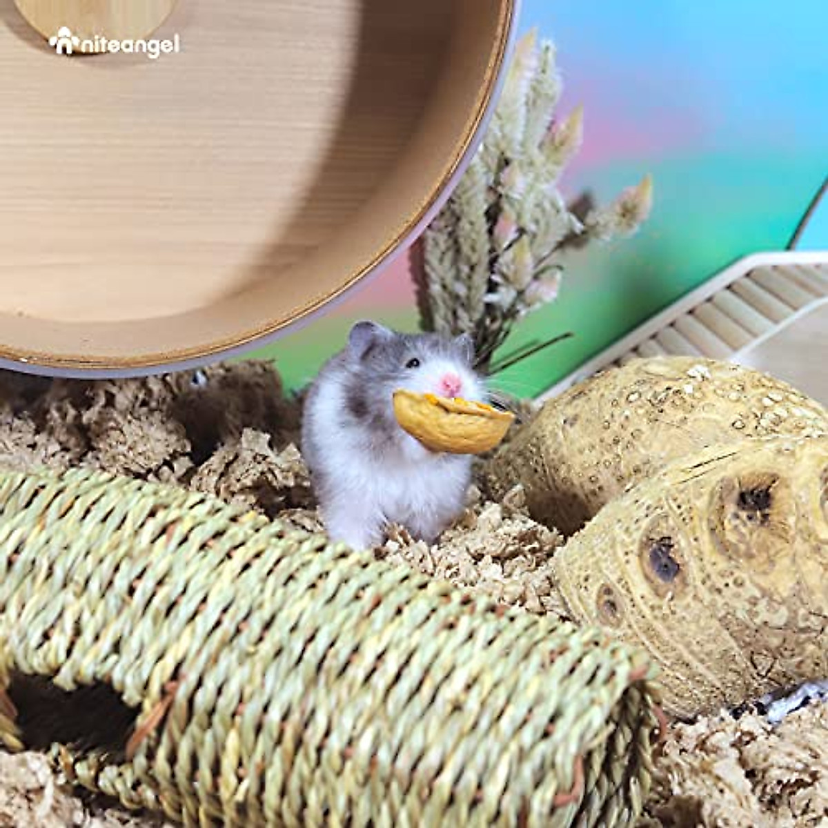 Niteangel Hamster Snack & Treats Toy - Small Animal Natural Treat Mix for Dwarf Syrian Robo Hamsters Gerbils Mice Lemmings Degus or Other Small-Sized Pets (Walnut-Shell Boat)