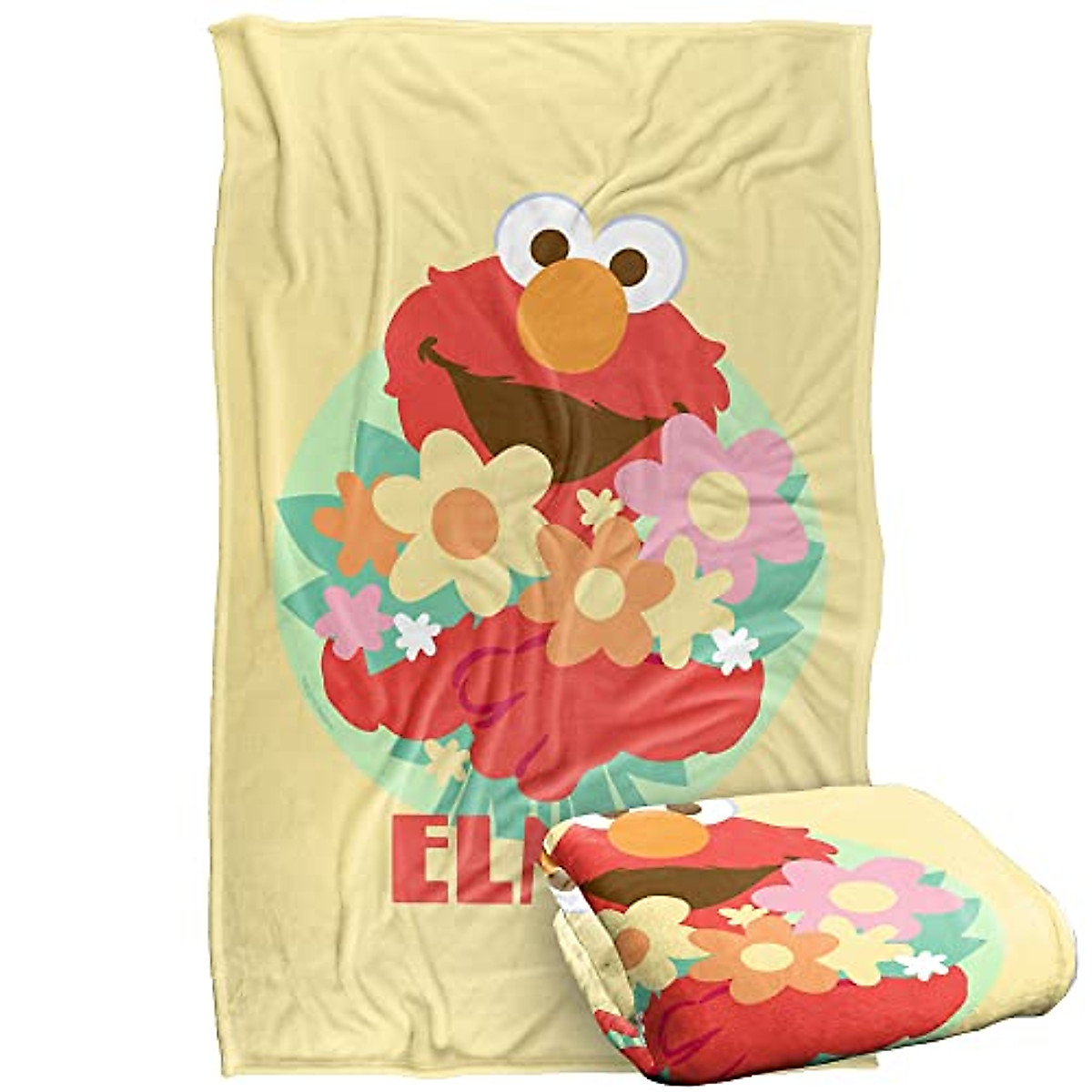 Sesame Street Flowers for You Officially Licensed Silky Touch Super Soft Throw Blanket 36" x 58"
