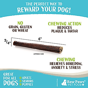 Raw Paws Beef Collagen Sticks for Dogs, 6 inch, 10-ct - Packed in USA - Natural Collagen for Dogs - Dog Chews for Aggressive Chewers & Large Dogs - Collagen Bones for Dogs, Dog Collagen Chews for Dogs
