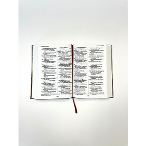 Santa Biblia NTV, letra súper gigante (Tapa dura, Vino tinto, Letra Roja) (Spanish Edition)