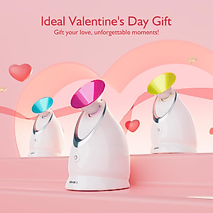 EZBASICS Facial Steamer Ionic Face Steamer for Home Facial, Warm Mist Humidifier Atomizer for Face Sauna Spa Sinuses Moisturizing, Unclogs Pores, 1 Pack + 5 Stainless Steel Skin Kit Pink