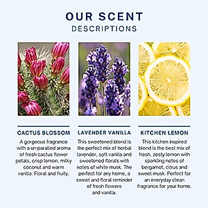 CE Craft About F*cking Time Candle - Scented Soy Wax Candle - Gift for Engagement, Bride - Gift for Newly Engaged Couple - Engagement Gift for Best Friend - Funny Engagement Gift (Sugar Cookie)