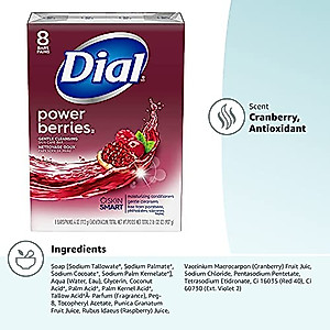 Dial Skin Care Bar Soap, Power Berries, 4 Ounce, 16 Bars
