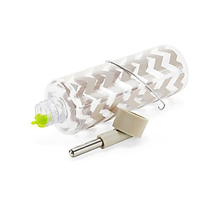 EveryYay Wet Your Whistle Small Animal Printed Water Bottle, Medium