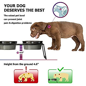 Y YHY Raised Dog Cat Bowls, Elevated Dog Cat Bowls 24oz, Ceramic Dog Cat Bowls for Food and Water, Pet Bowls for Cats and Small Dogs, Prevent Neck Pain, Anti Slip Feet, Grey