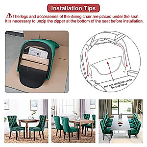 ayoodfo Velvet Dining Chair Set of 2, Upholstered Dining Room Chairs with Nailhead Trim and Back Ring Pull, Modern Luxury Tufted Dining Chairs for Kitchen, Dinning Room, Green